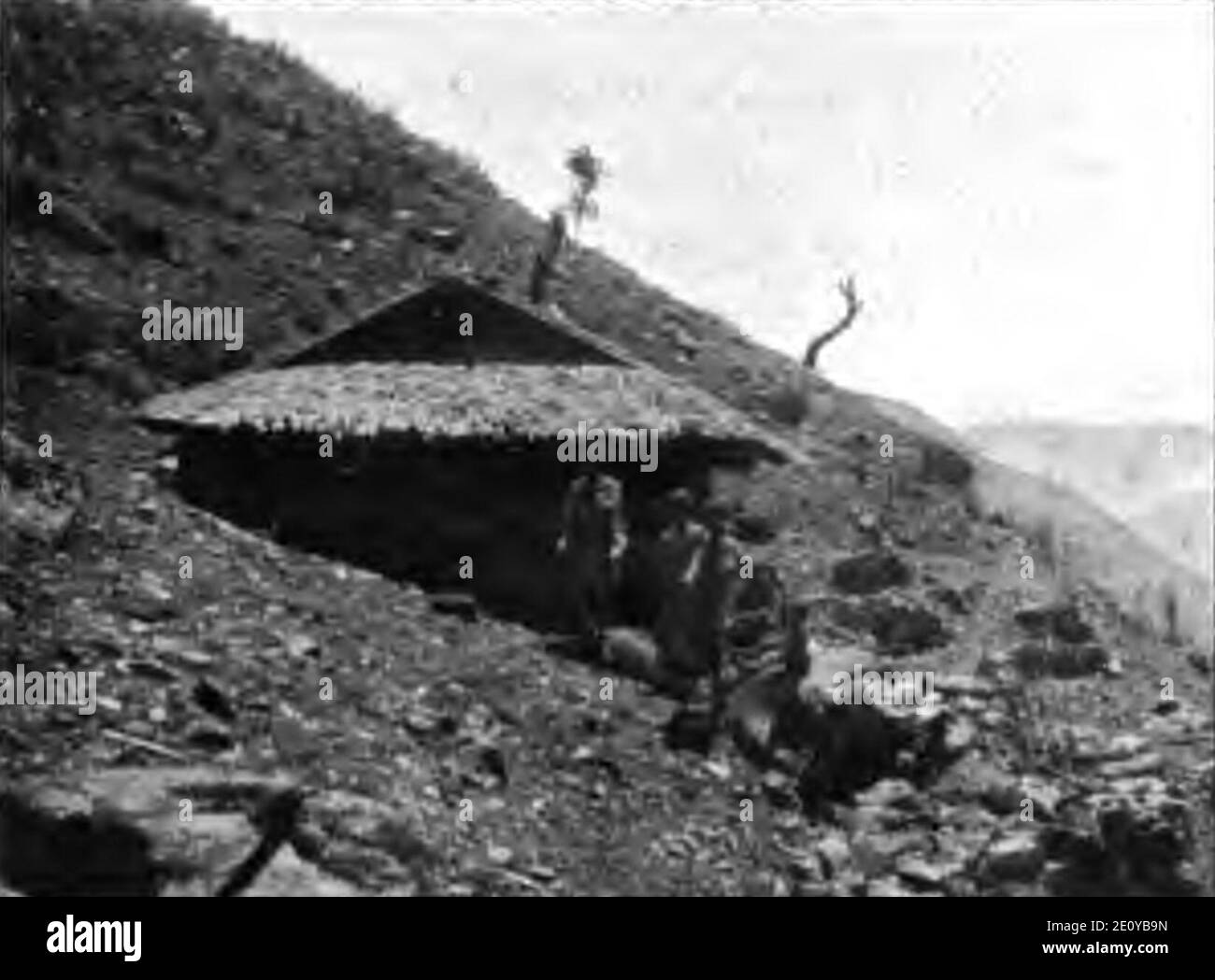 Limbu House with Burnt Hillside Stock Photo - Alamy