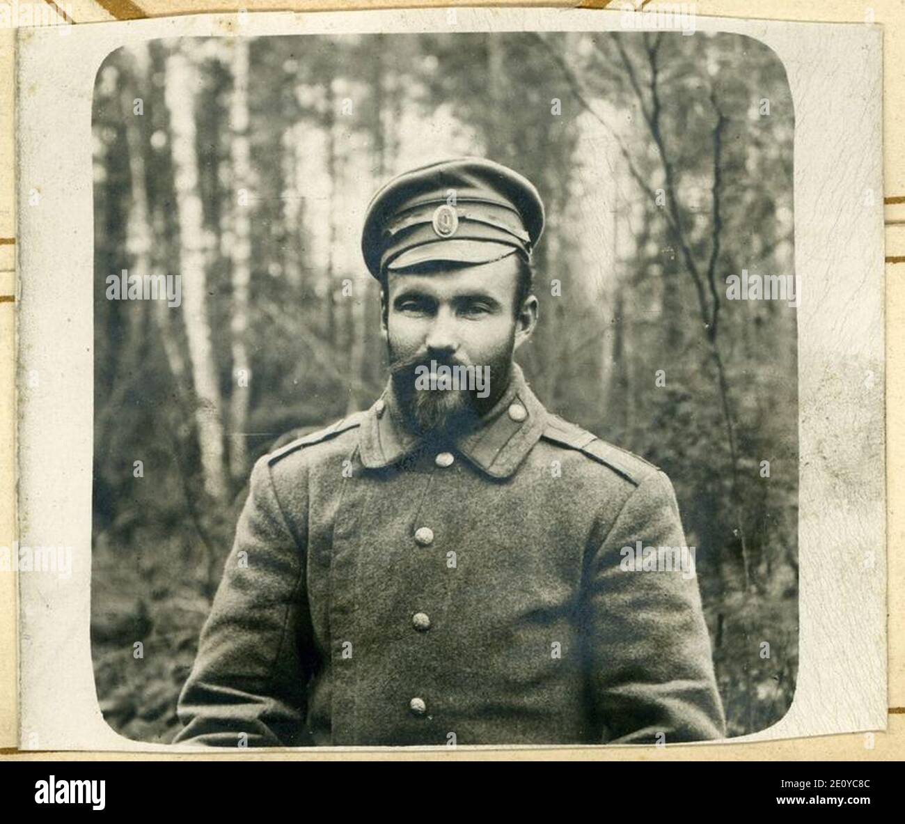 Limis hi-res stock photography and images - Alamy