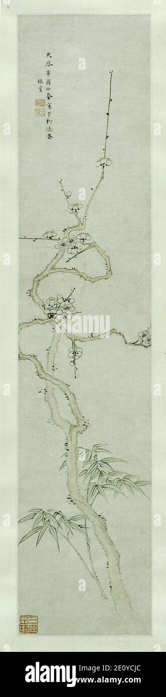 Lin Xue - Prunus and Bamboo Stock Photo - Alamy