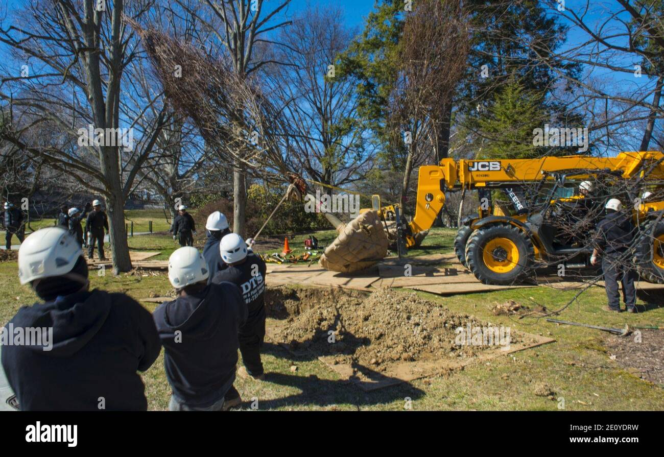 Replacement trees hi-res stock photography and images - Alamy