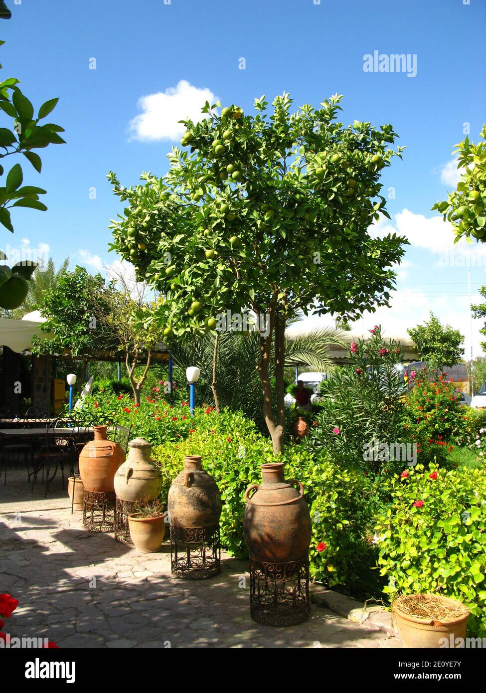 The garden in the small village, Morocco Stock Photo - Alamy
