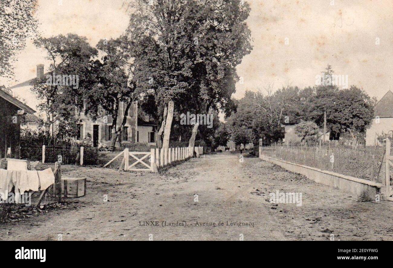 Linxe hi-res stock photography and images - Alamy