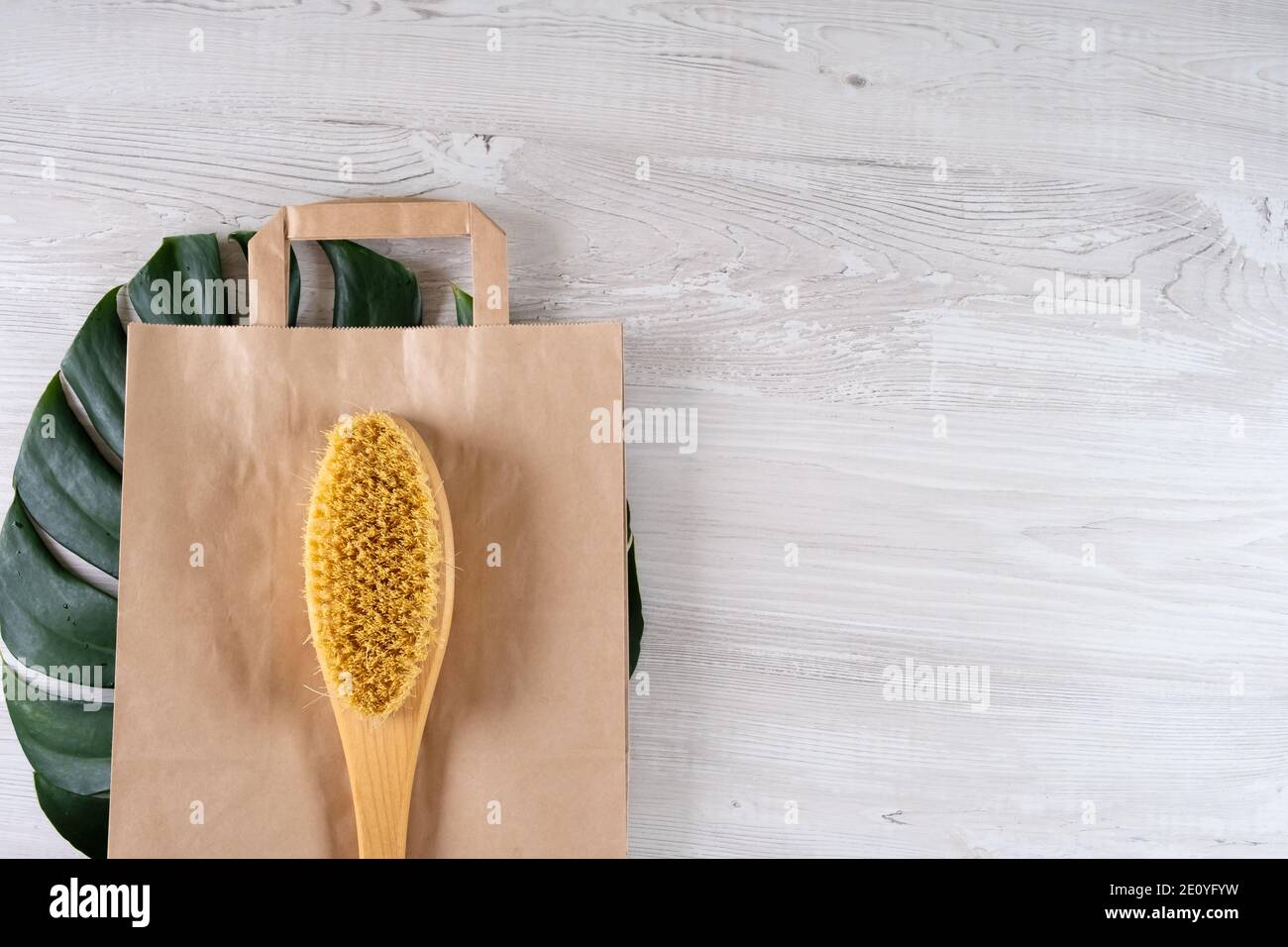 Wooden soft body brushes on white backgroun with monctera leaf. Anti ...