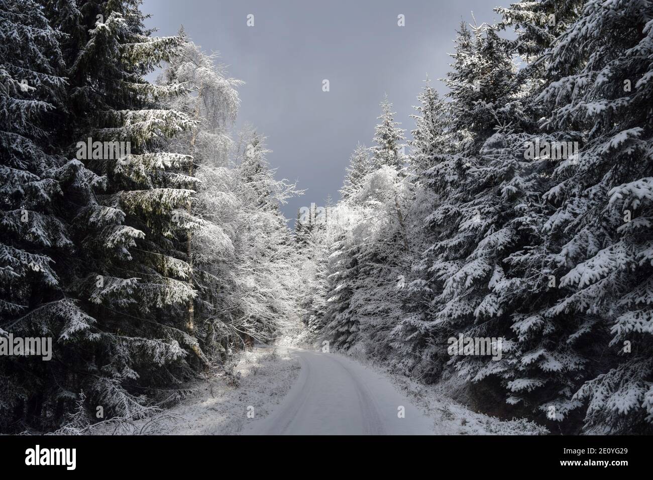 Winter at Krkonoše, Giant Mountains, located in the north of the Czech ...