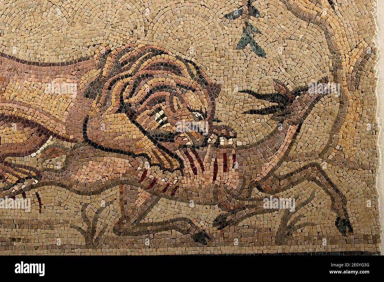 Lion and Prey, Roman Stone Mosaic from the Levant Stock Photo - Alamy