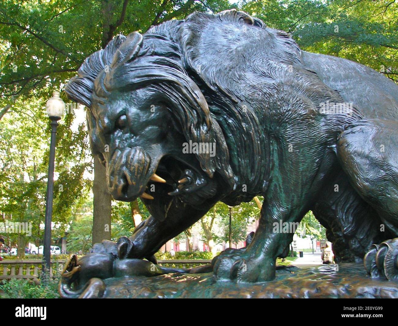 Lion snake hi-res stock photography and images - Alamy