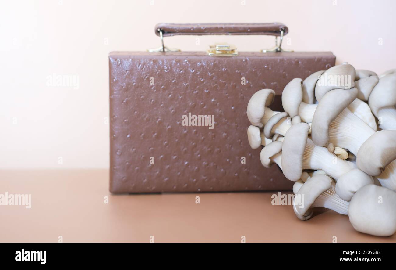 Bio based material hi-res stock photography and images - Alamy