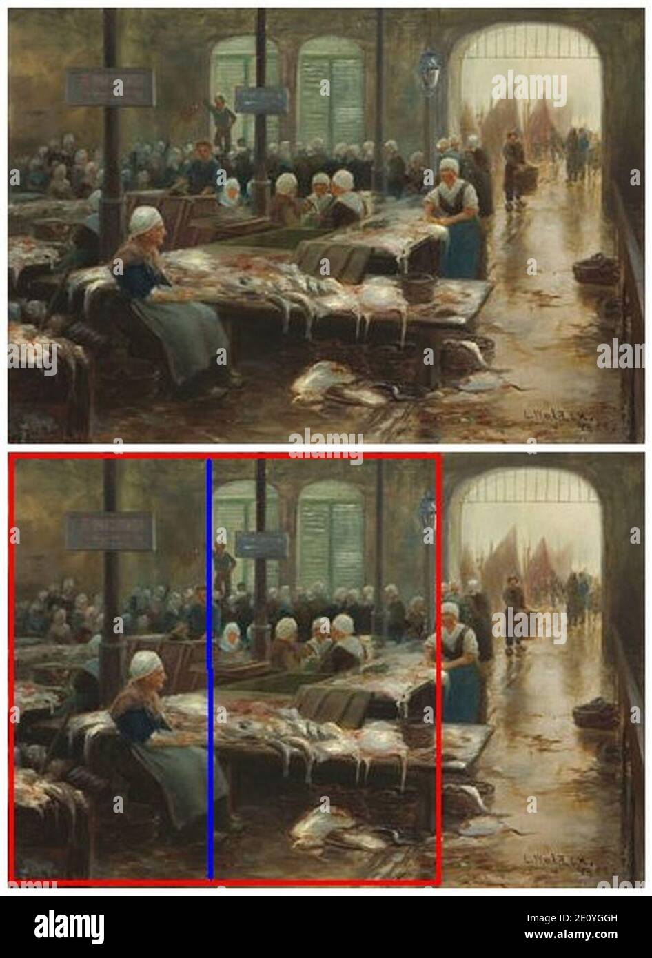 Historical fish study Cut Out Stock Images & Pictures - Alamy