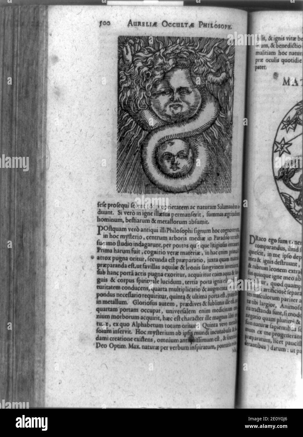 Lion-headed serpent devouring its eagle-headed tail entwined about ...