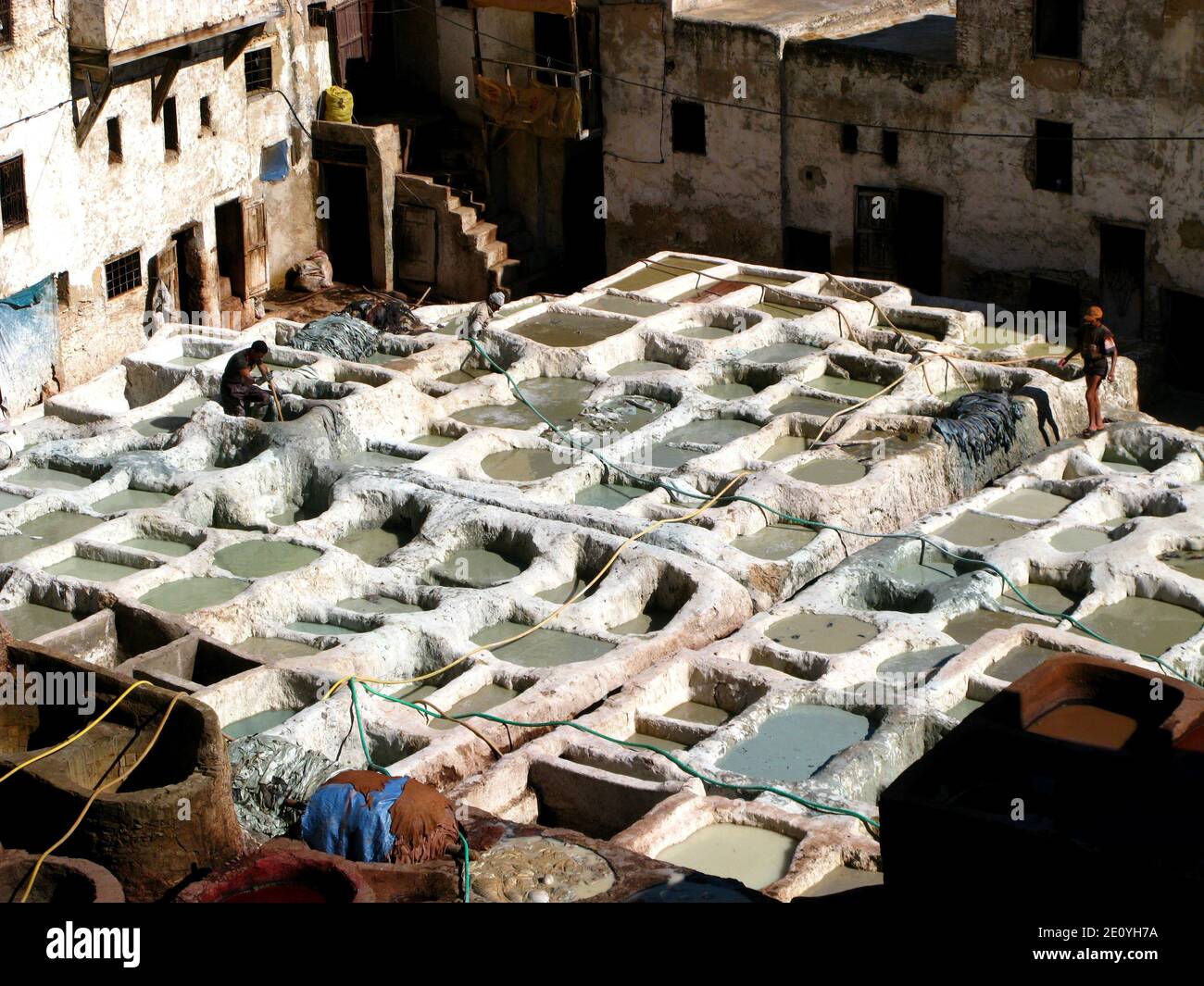 The leather dyers in Fez, Morocco Stock Photo - Alamy