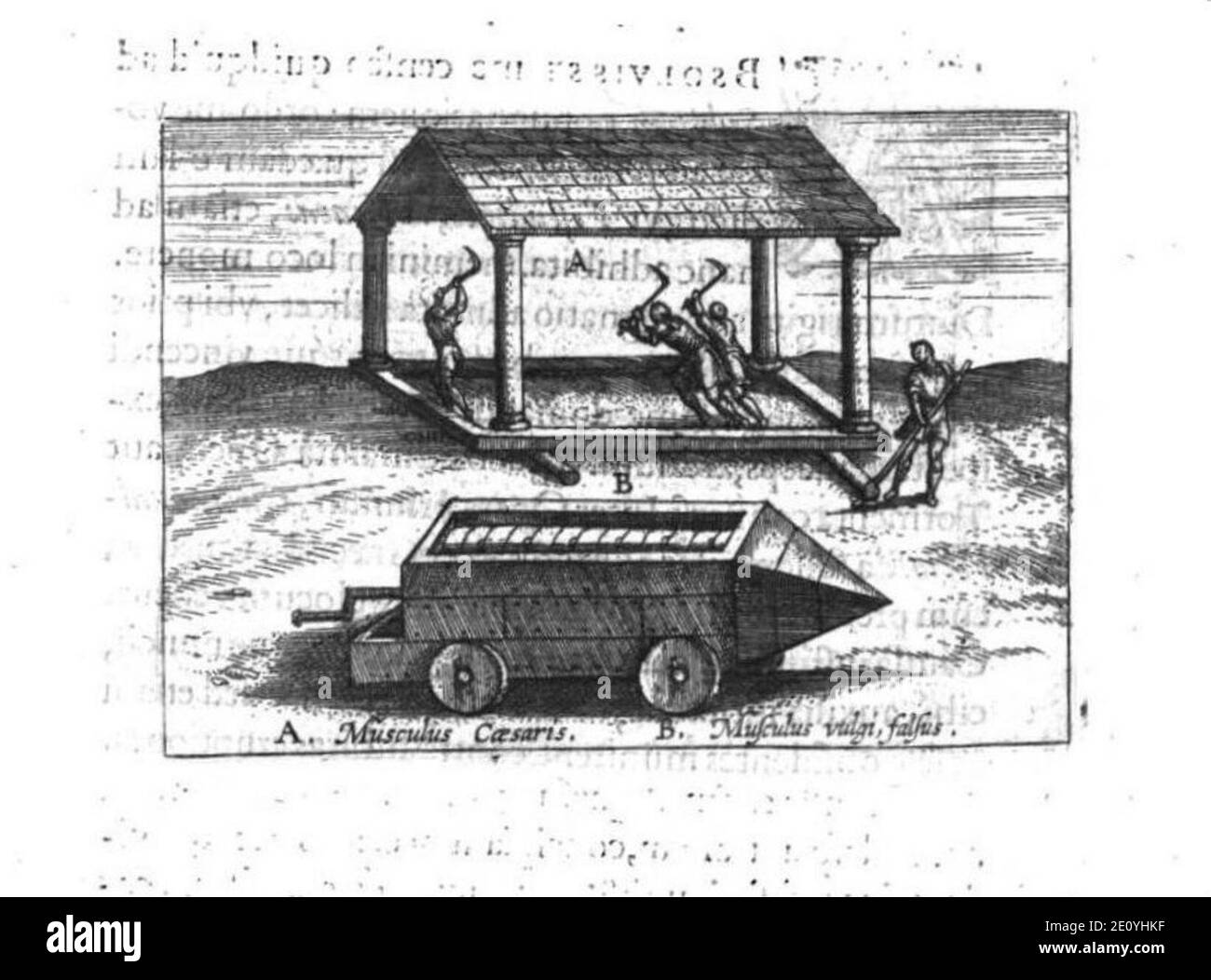 Lipsius Black and White Stock Photos & Images - Alamy