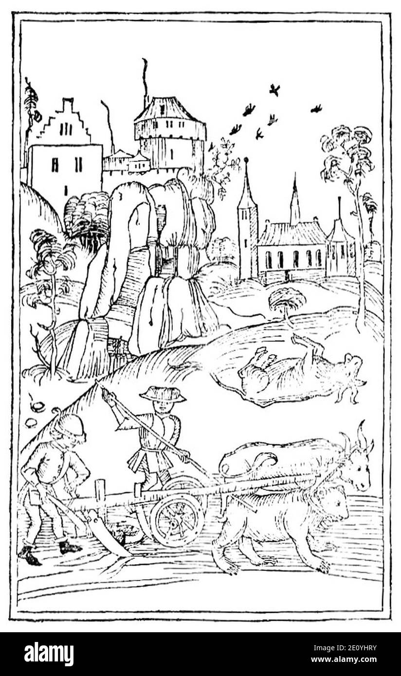 Lirer chronik 5v Stock Photo - Alamy