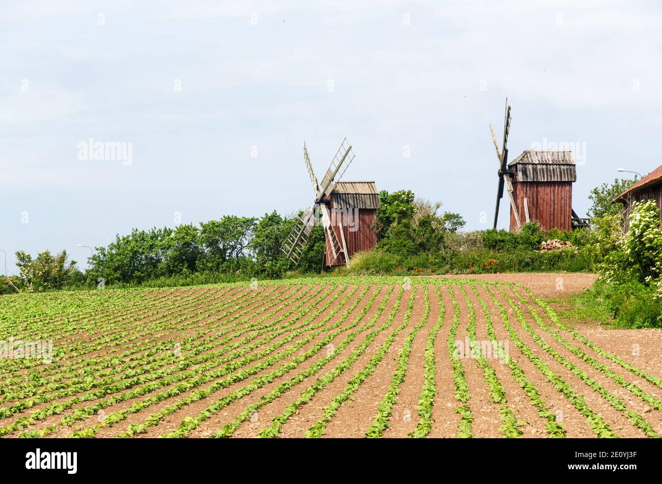 Swedish farmers hi-res stock photography and images - Alamy