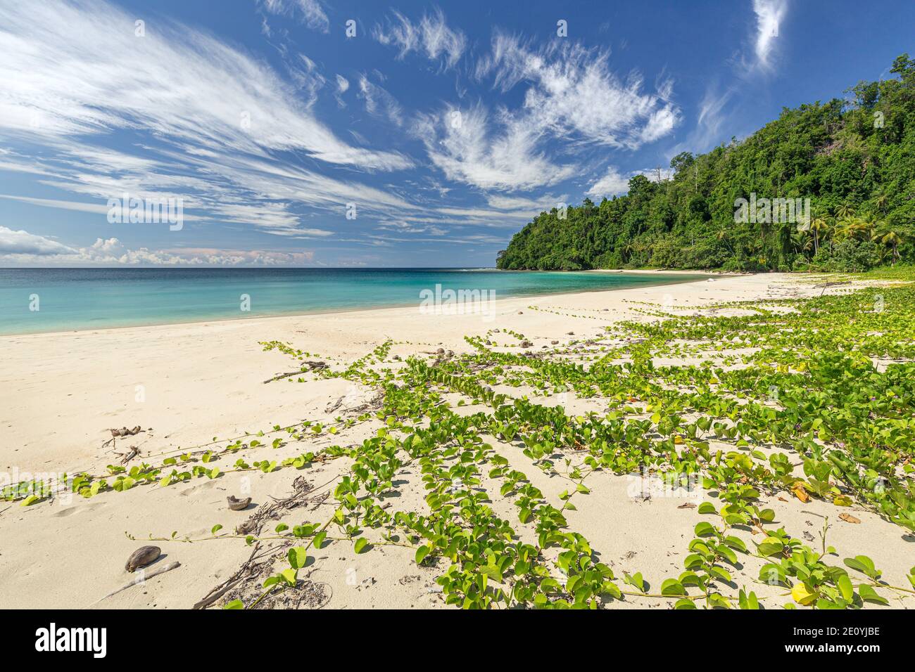 Morotai island hi-res stock photography and images - Alamy