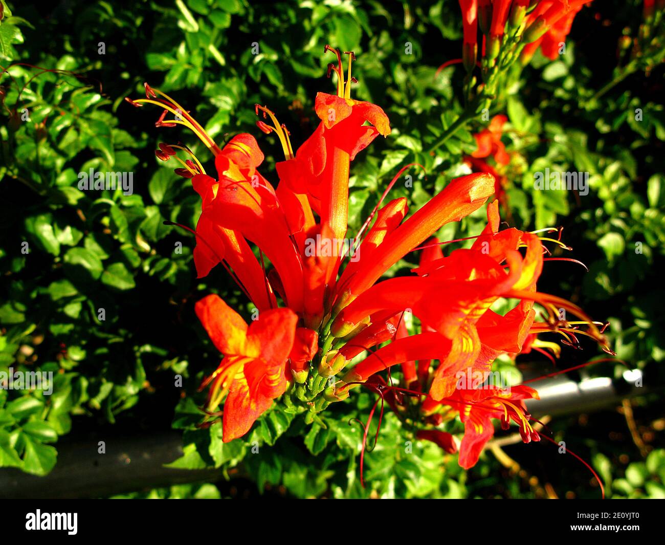 Dar el makhzen meknes hi-res stock photography and images - Alamy