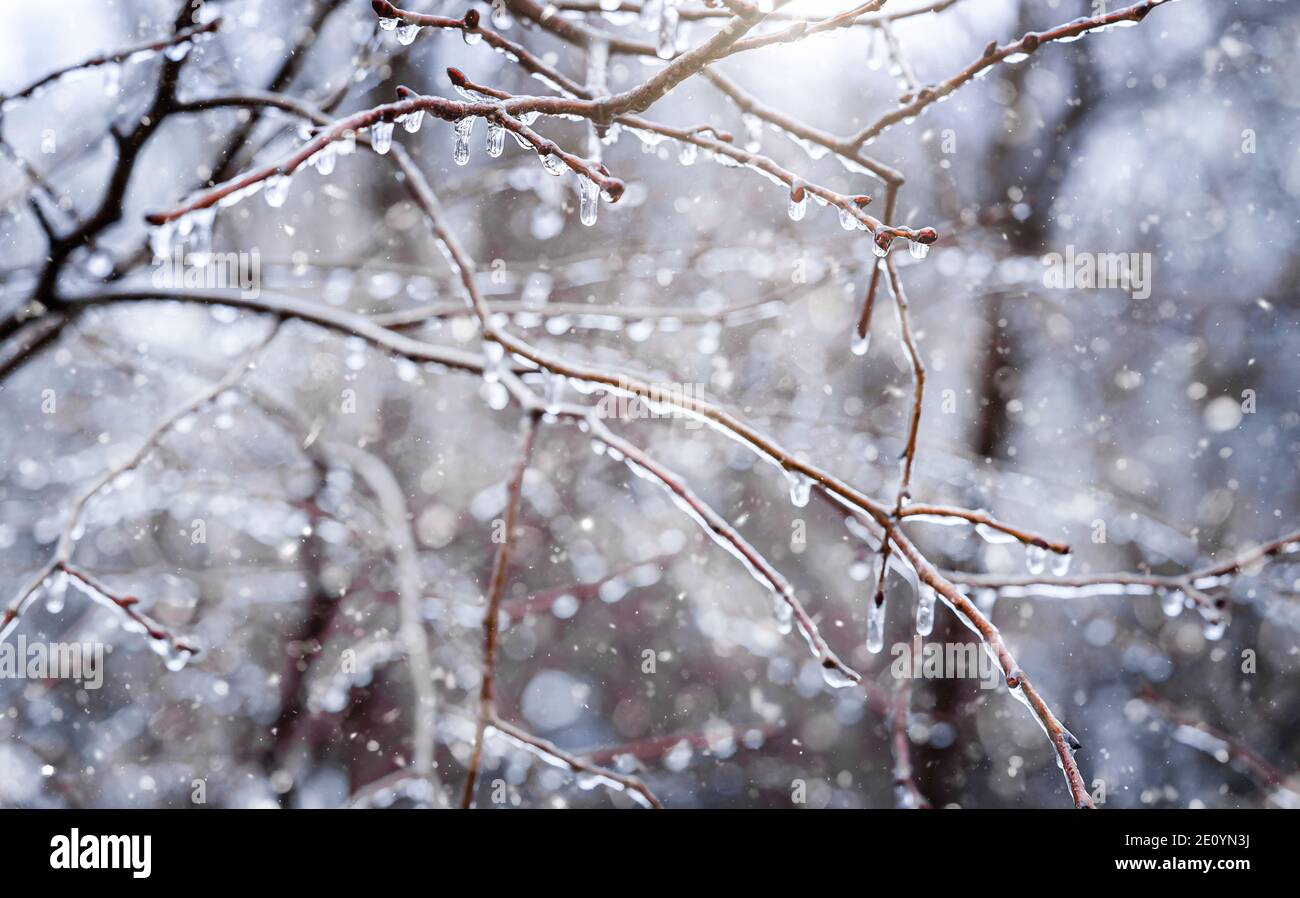 Iced drops hi-res stock photography and images - Alamy