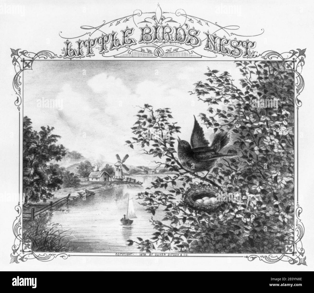 Little birds Black and White Stock Photos & Images - Alamy