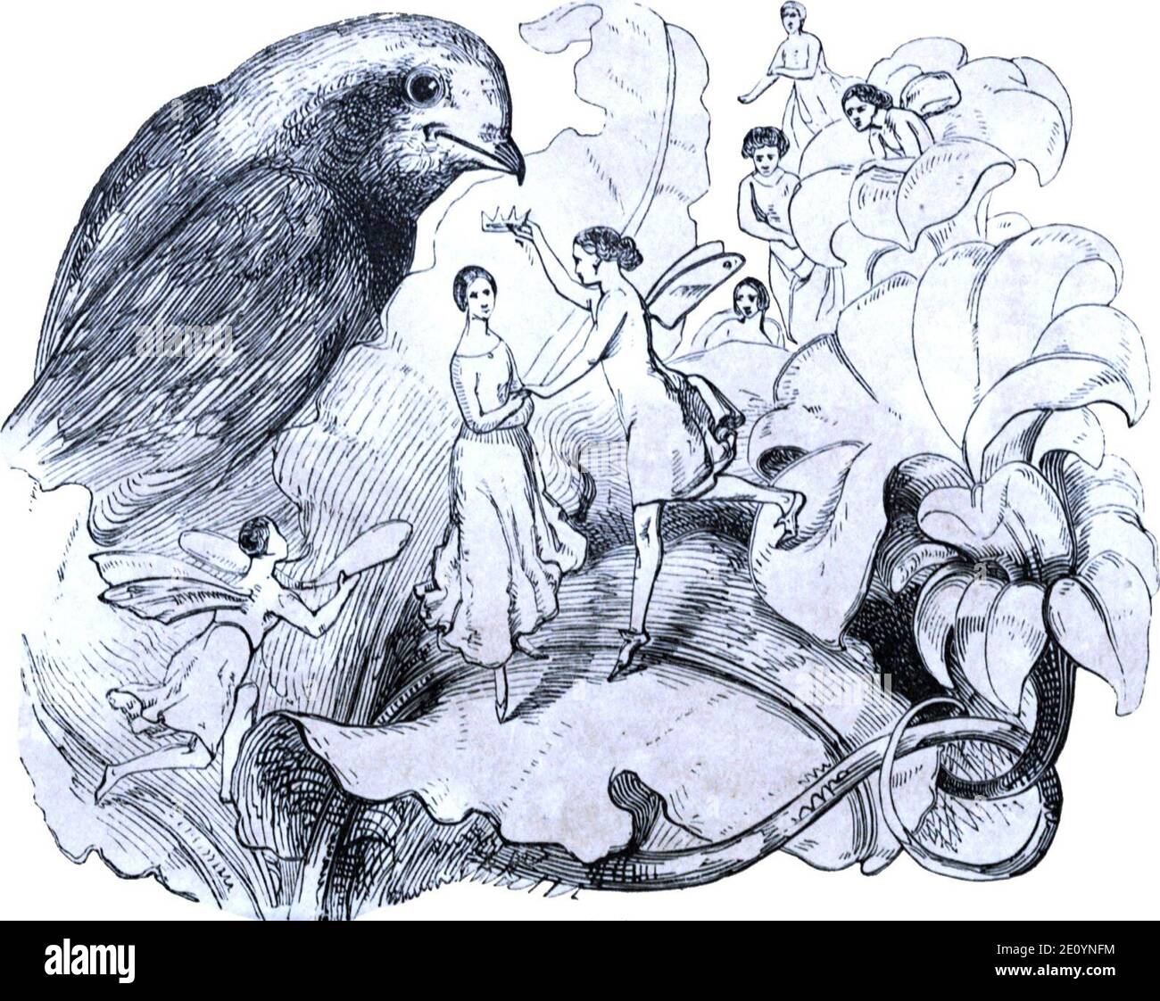 Little Ellie and Other Tales (1850) - frontispiece Stock Photo - Alamy