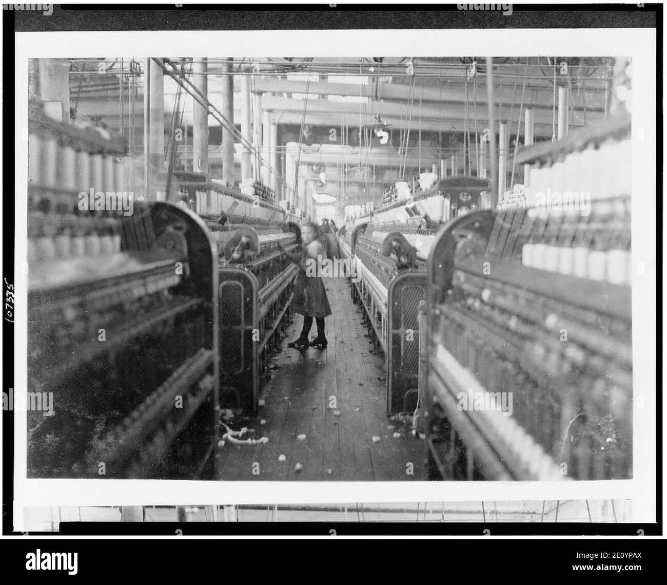 Sara tree Cut Out Stock Images & Pictures - Alamy