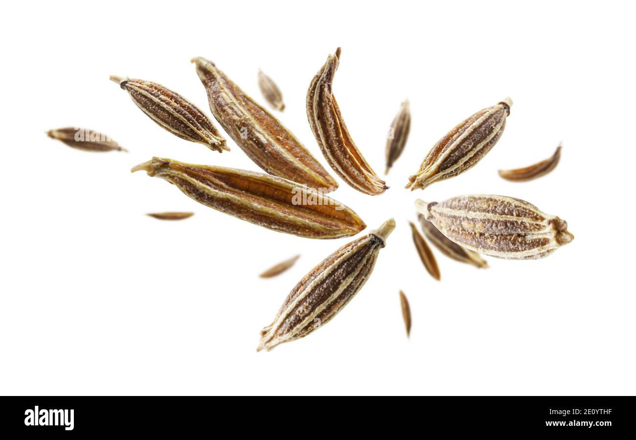 Cumin seeds zira spice Cut Out Stock Images & Pictures - Alamy