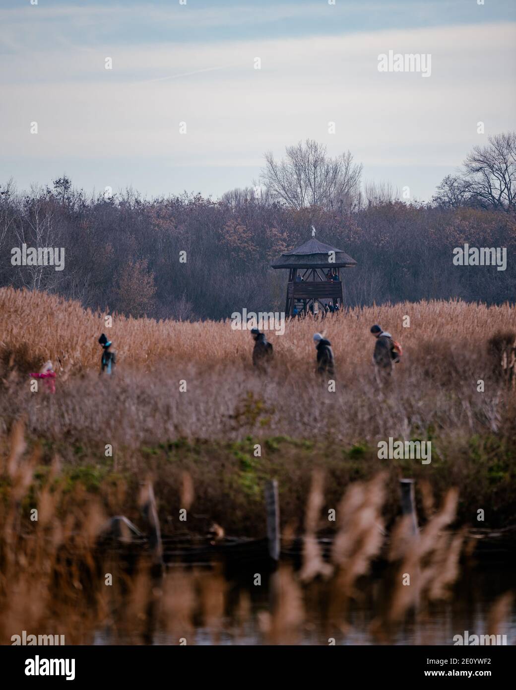 Outdoor education program hi-res stock photography and images - Alamy