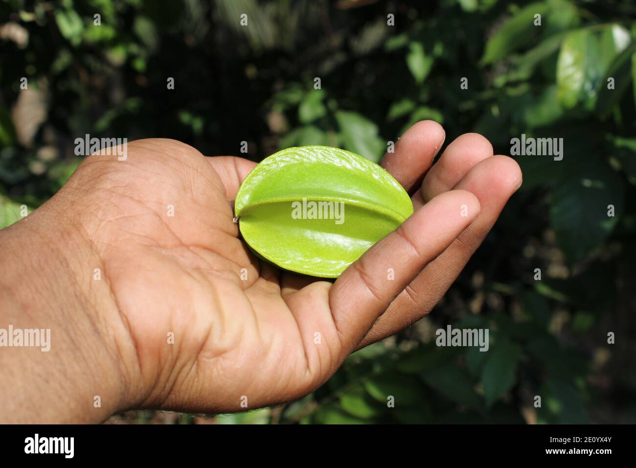 Fresh healthy food on the hand closeup natural photo capture Stock ...