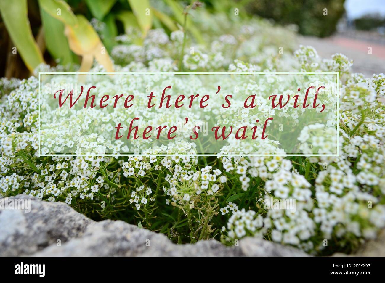 Blurred Image with motivational and inspirational quotes Stock Photo ...