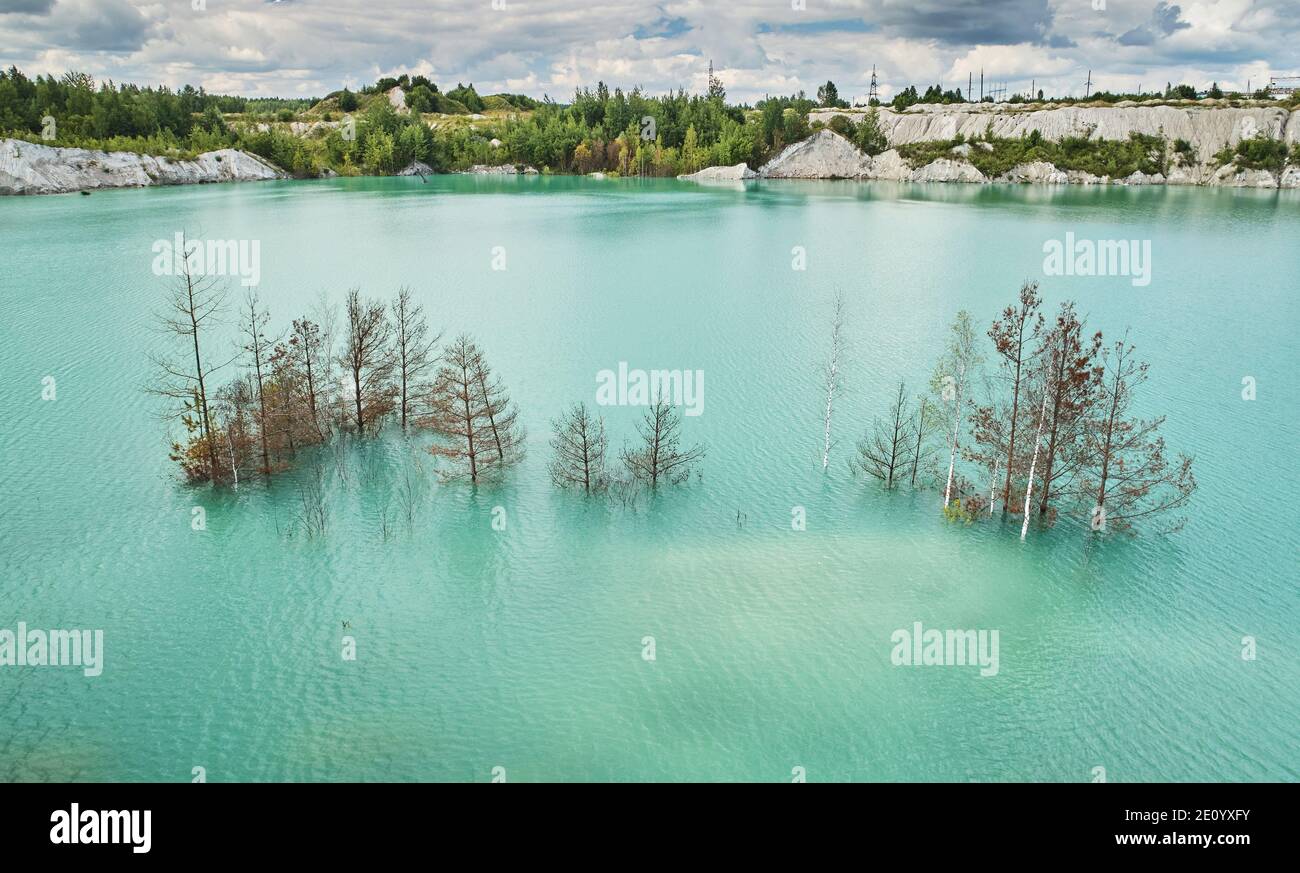 Aerial view group trees hi-res stock photography and images - Alamy