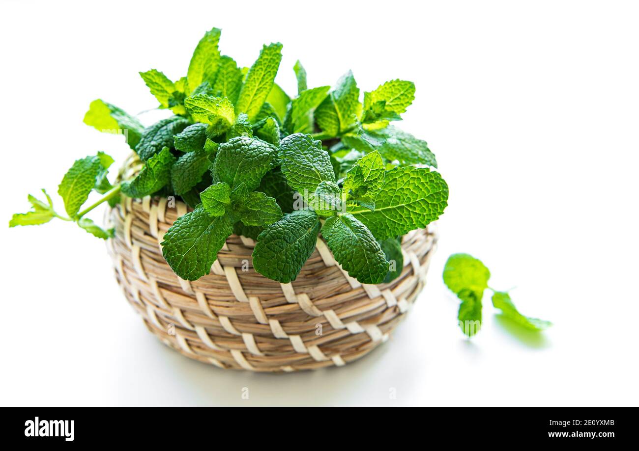 Basket of fresh mint. Isolated on white background Stock Photo - Alamy