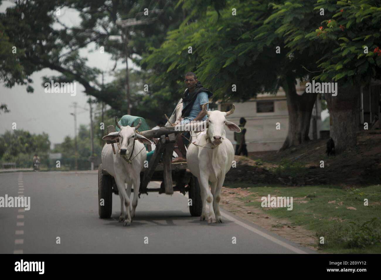 Pulled transport hi-res stock photography and images - Alamy