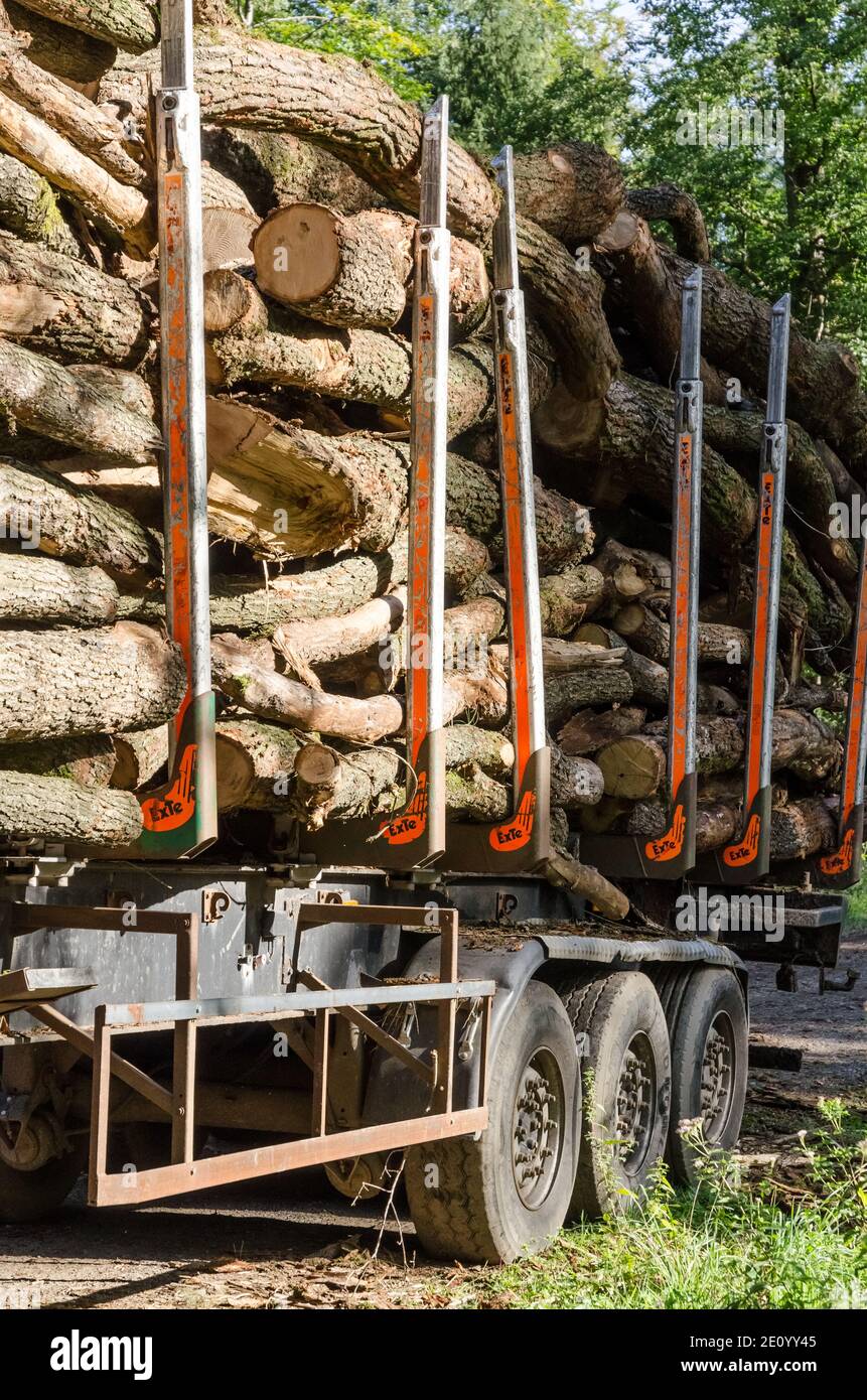 Firewood on a trailer hi-res stock photography and images - Alamy