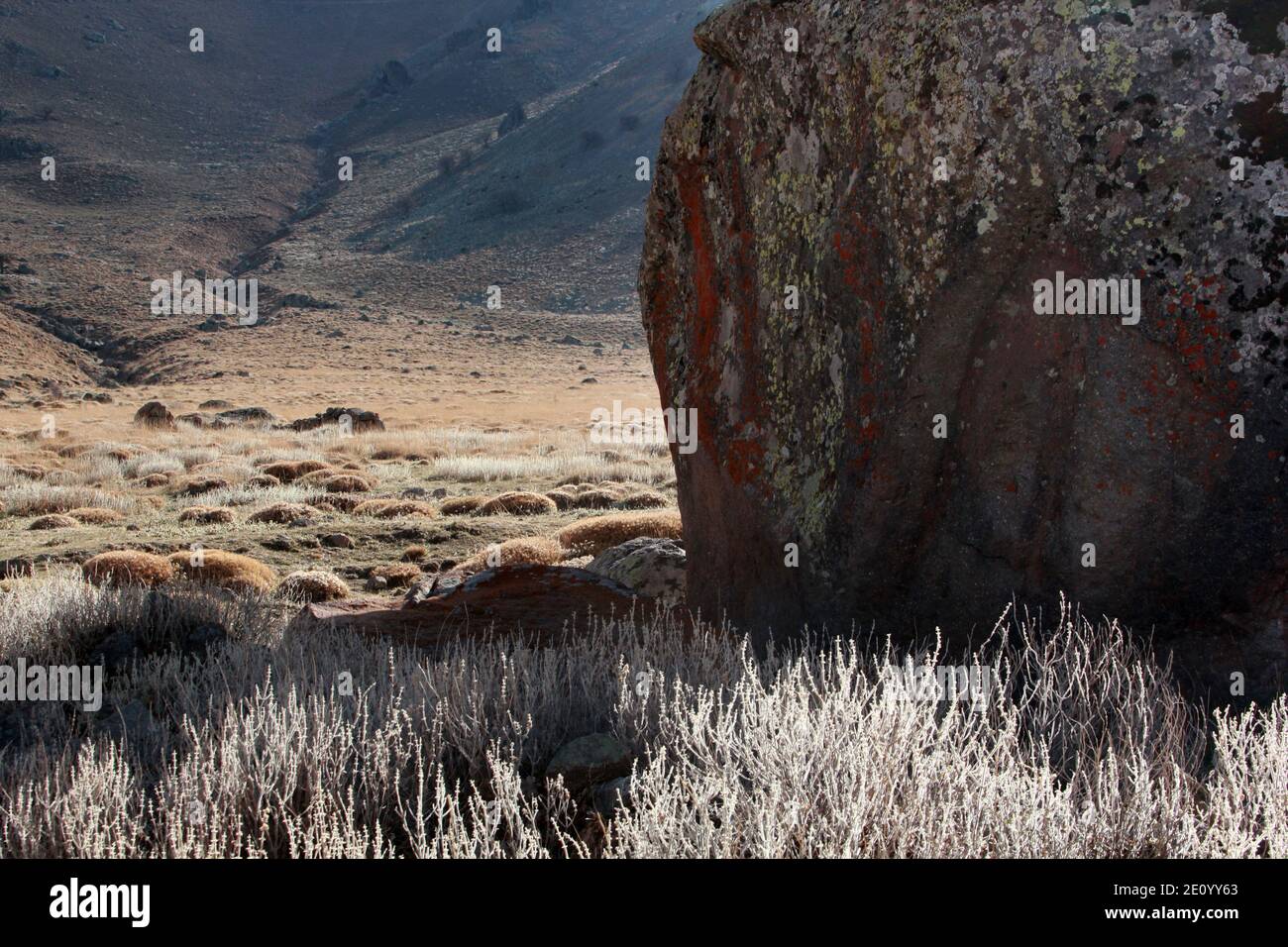 Steppe landscape and big rock. Volcanic trough Stock Photo - Alamy