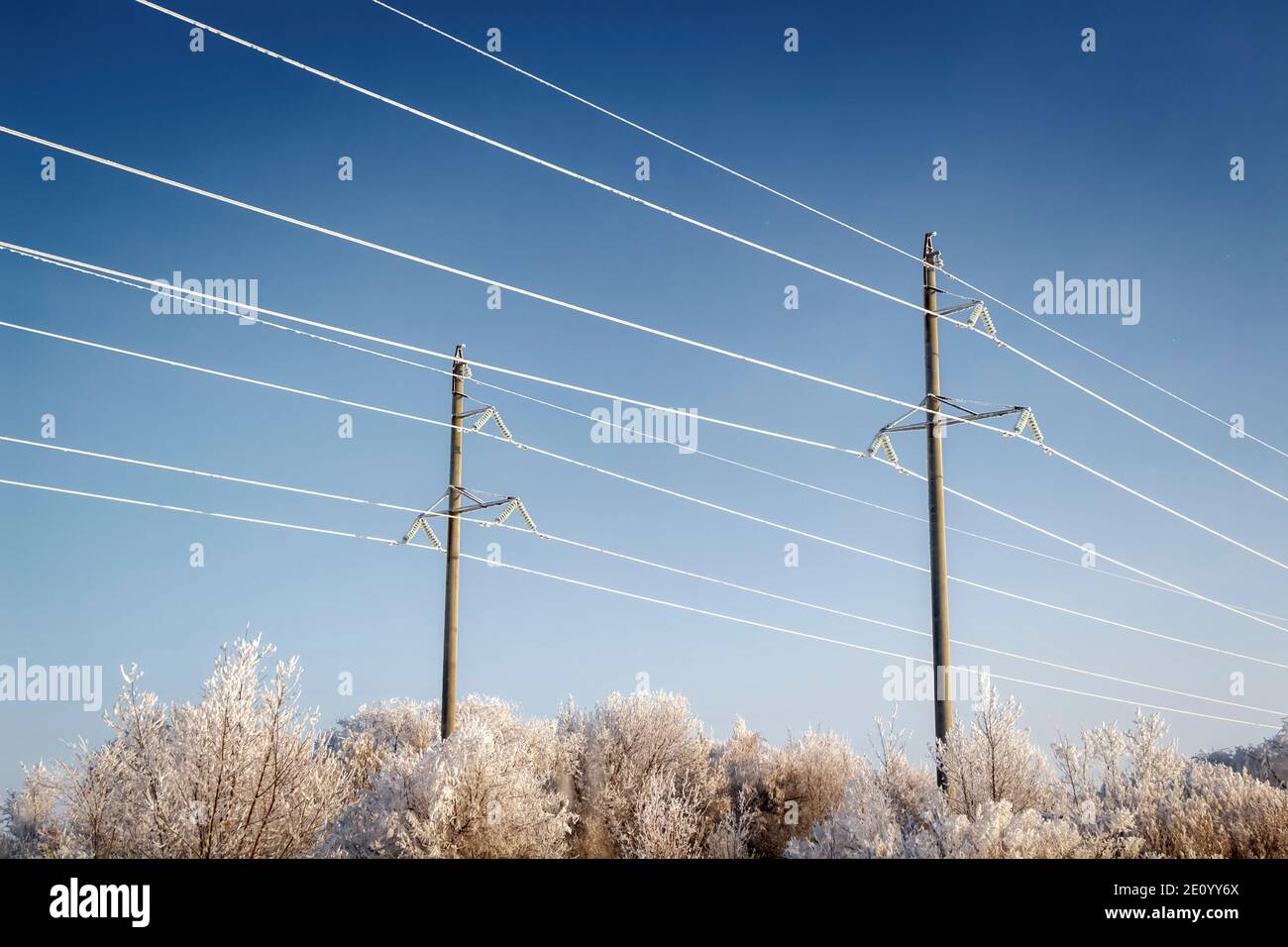 High-voltage wires and poles are covered with frost on a frosty winter ...