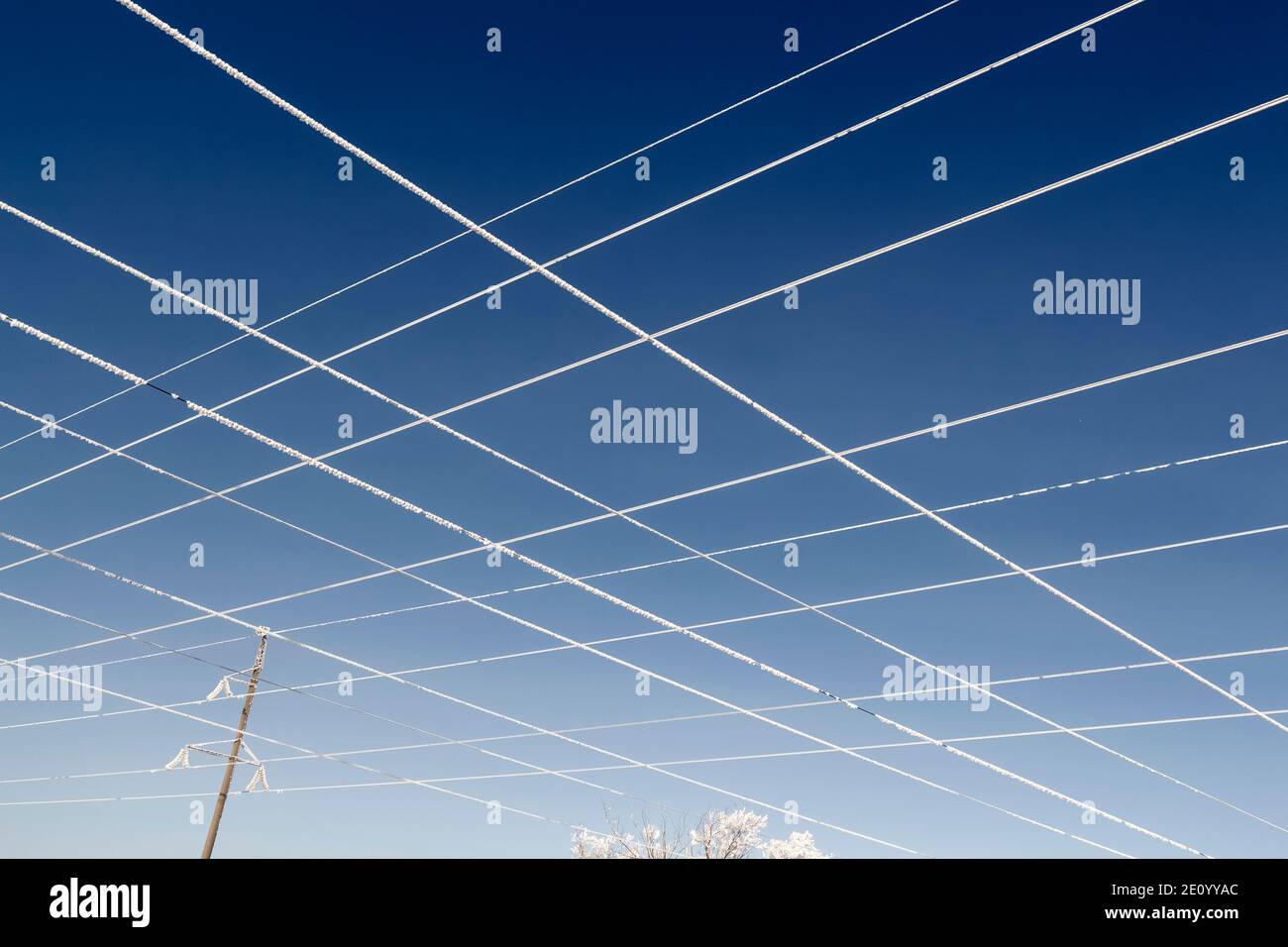 High-voltage wires and poles are covered with frost on a frosty winter ...