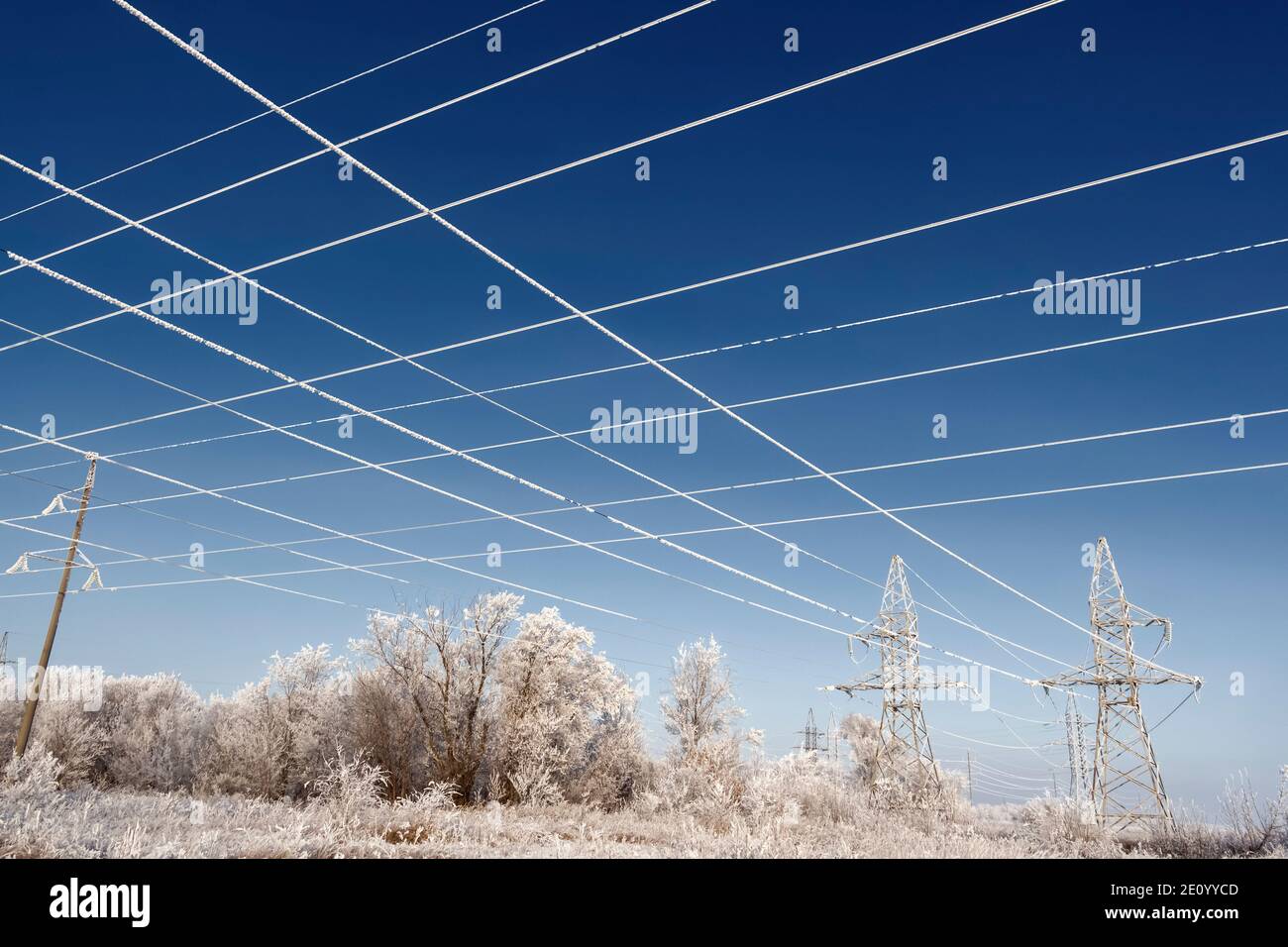 High-voltage wires and poles are covered with frost on a frosty winter ...