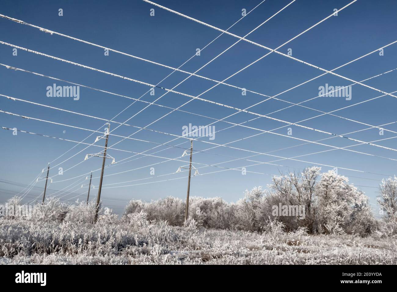 High-voltage wires and poles are covered with frost on a frosty winter ...