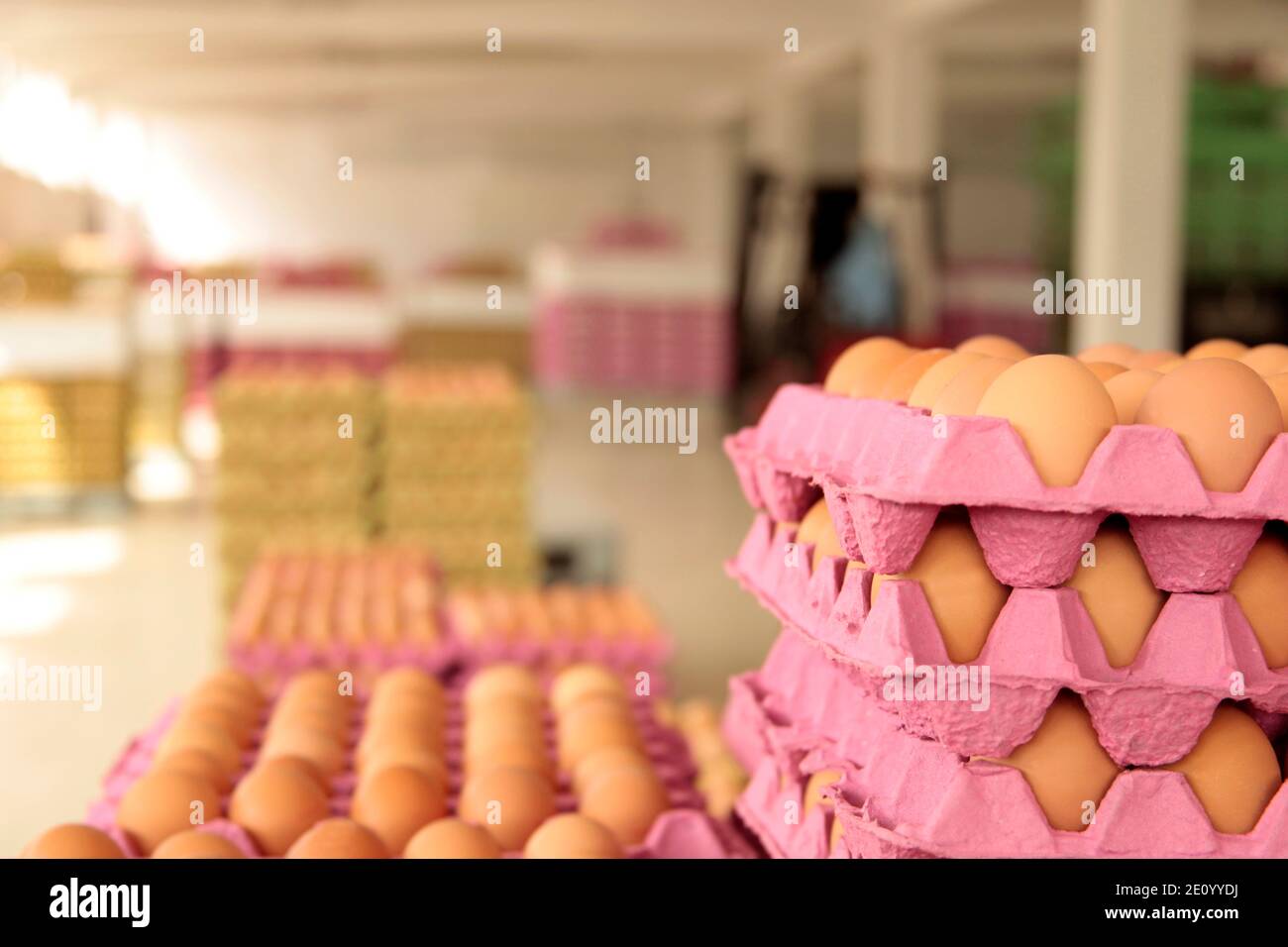 Egg packing and grading hi-res stock photography and images - Alamy