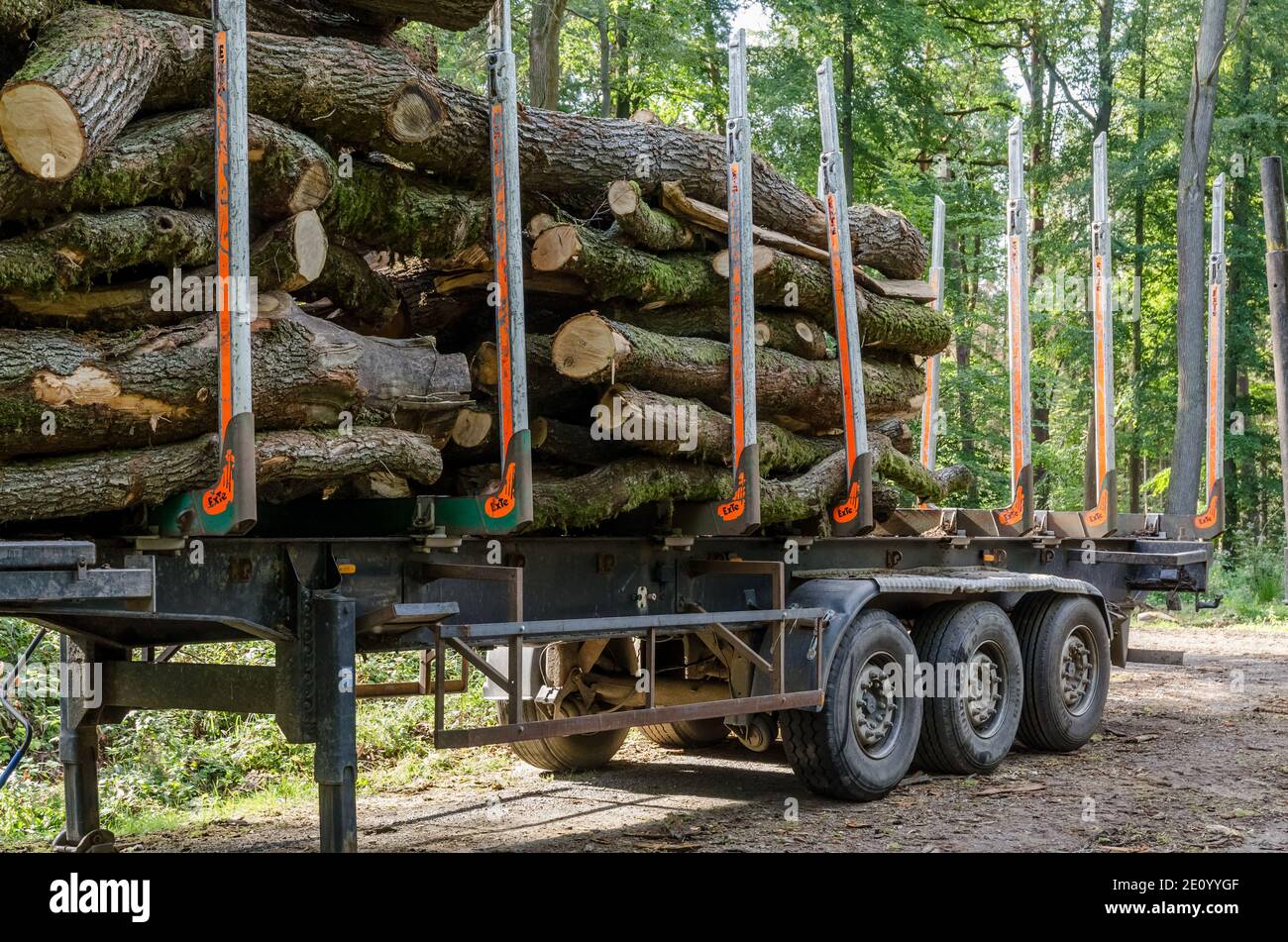 Firewood on a trailer hi-res stock photography and images - Alamy
