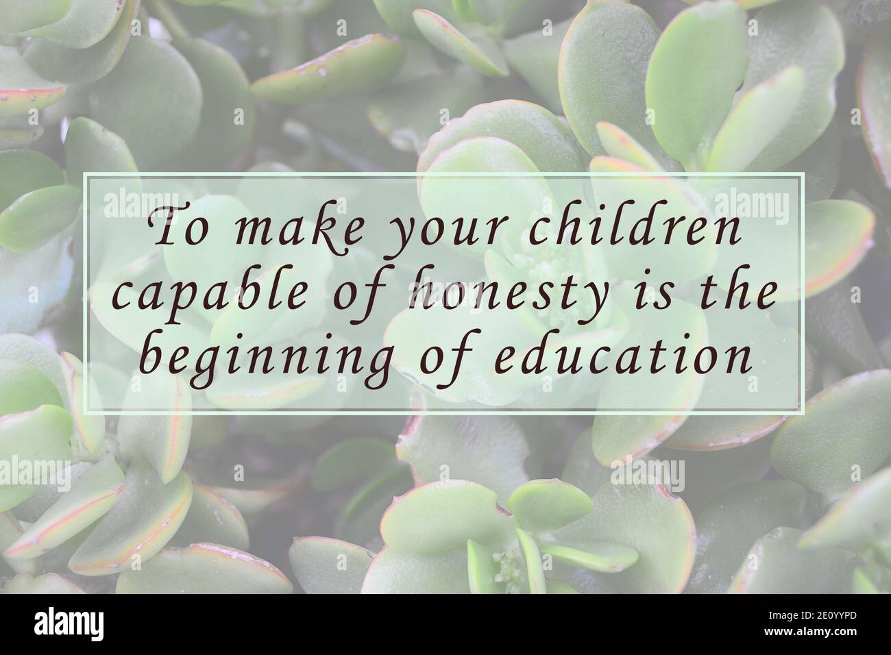 Blurred Image with motivational and inspirational quotes Stock Photo ...