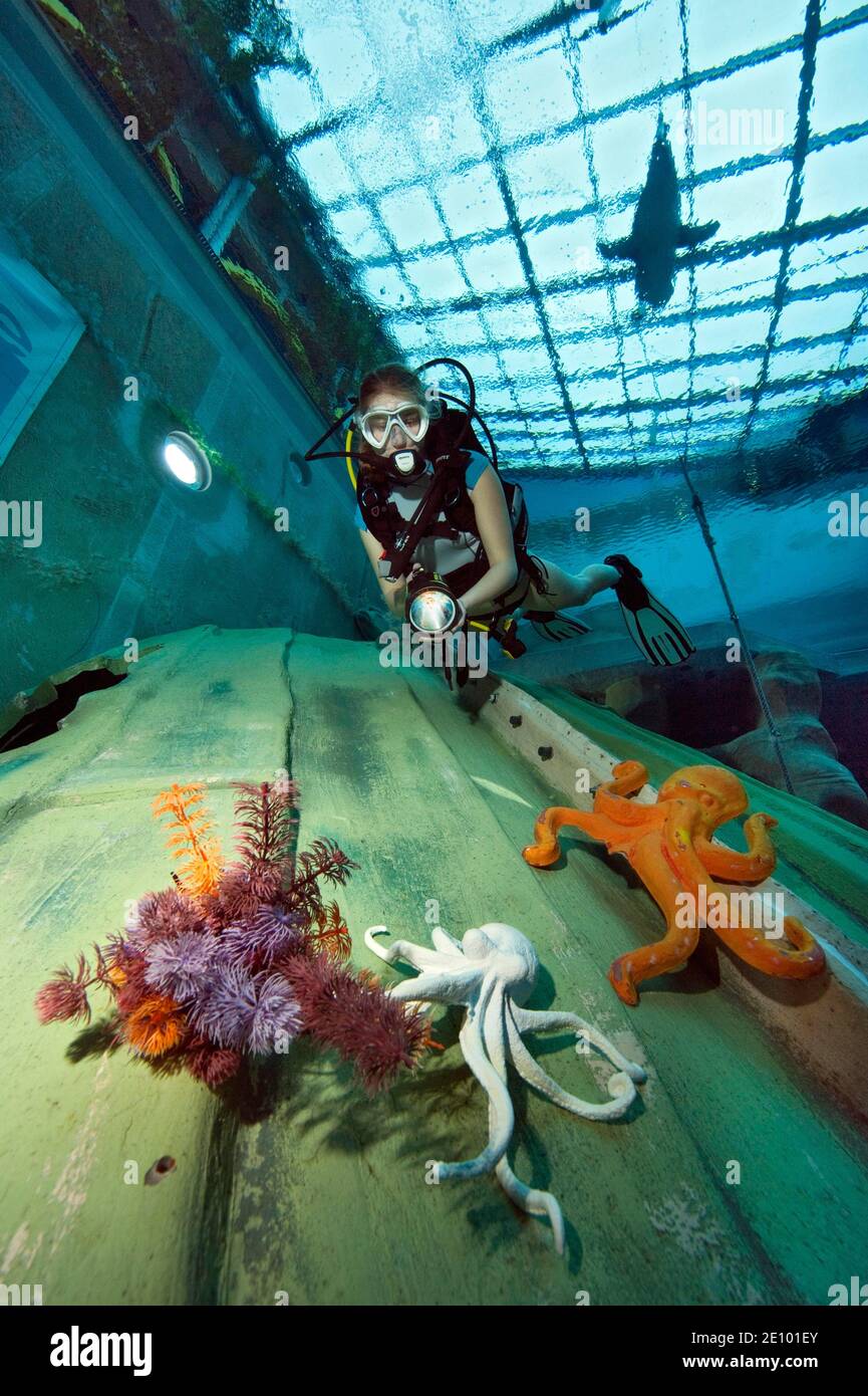 Diver in indoor diving pool, Monte Mare, Rheinbach, Germany, Europe ...