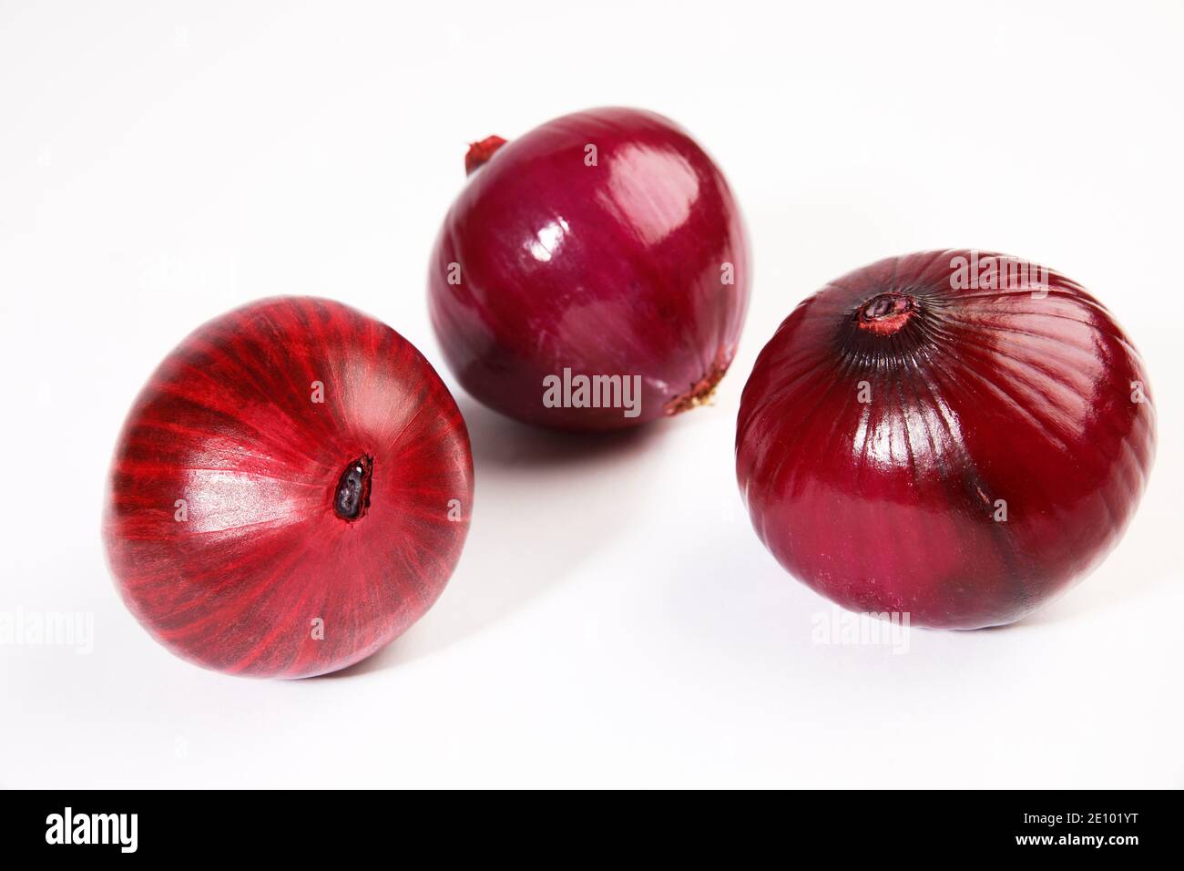 Allium cepa studio photography hi-res stock photography and images - Alamy