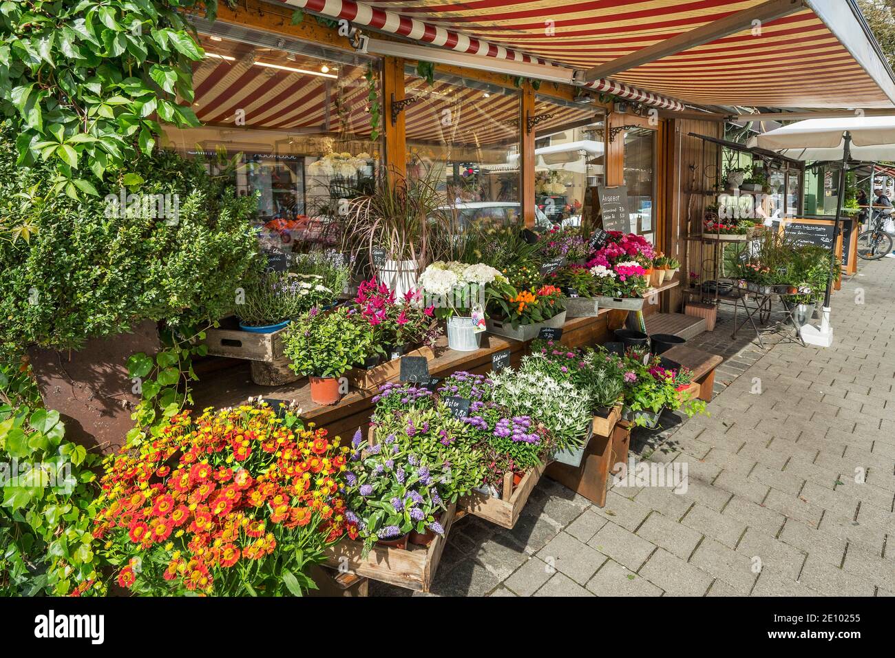 Flower shop with various garden plants, Wiener Platz, Munich, Upper ...