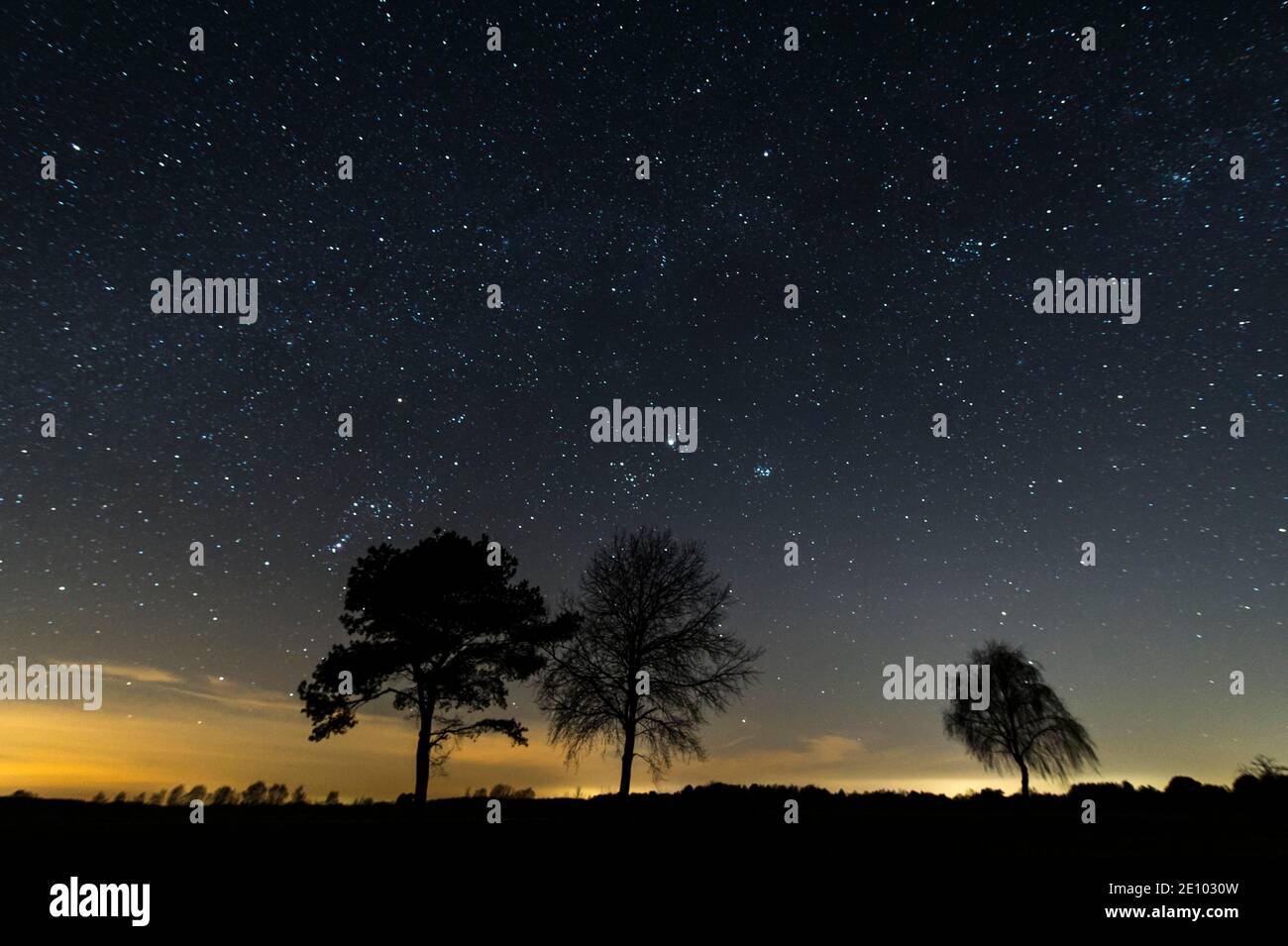 Starry sky over trees, night, star, Oldenburger Münsterland ...