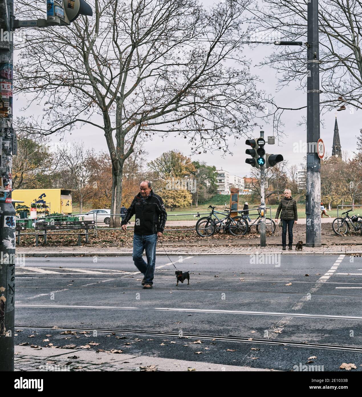 Dog traffic lights hi-res stock photography and images - Alamy