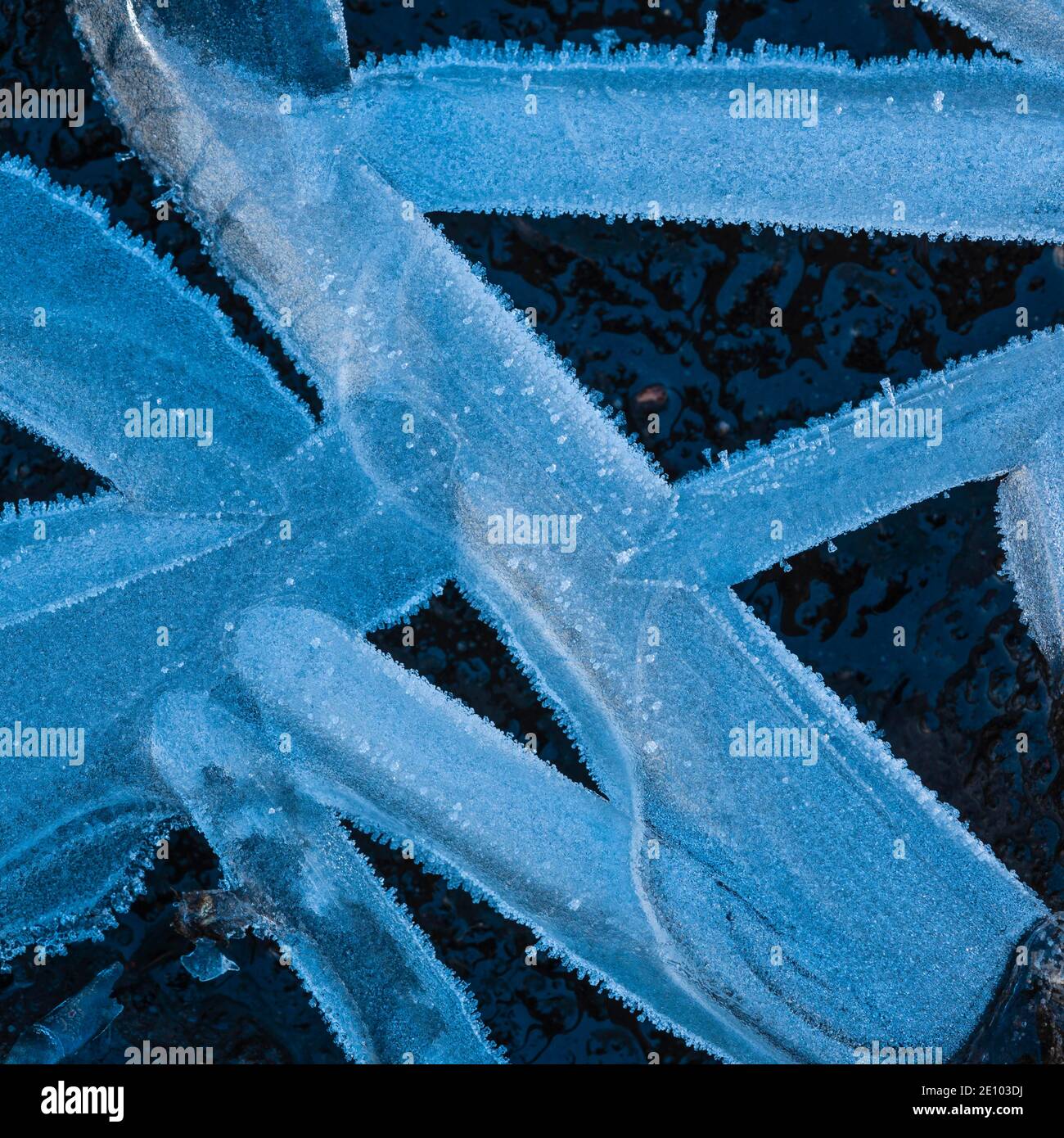 Forms of ice in a puddle, ice crystals, frost, winter, Goldenstedter ...