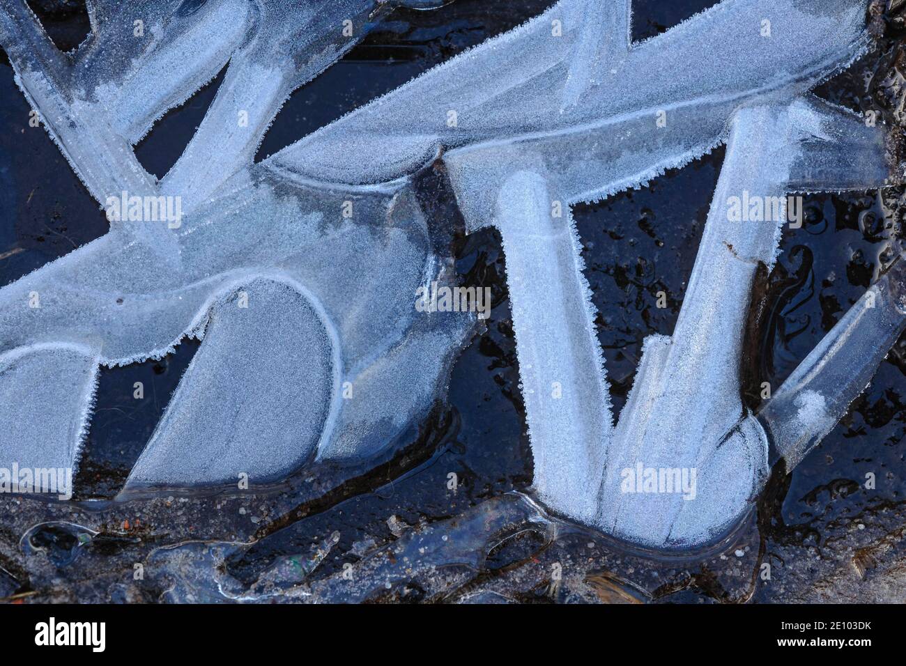 Forms of ice in a puddle, ice crystals, frost, winter, Goldenstedter ...