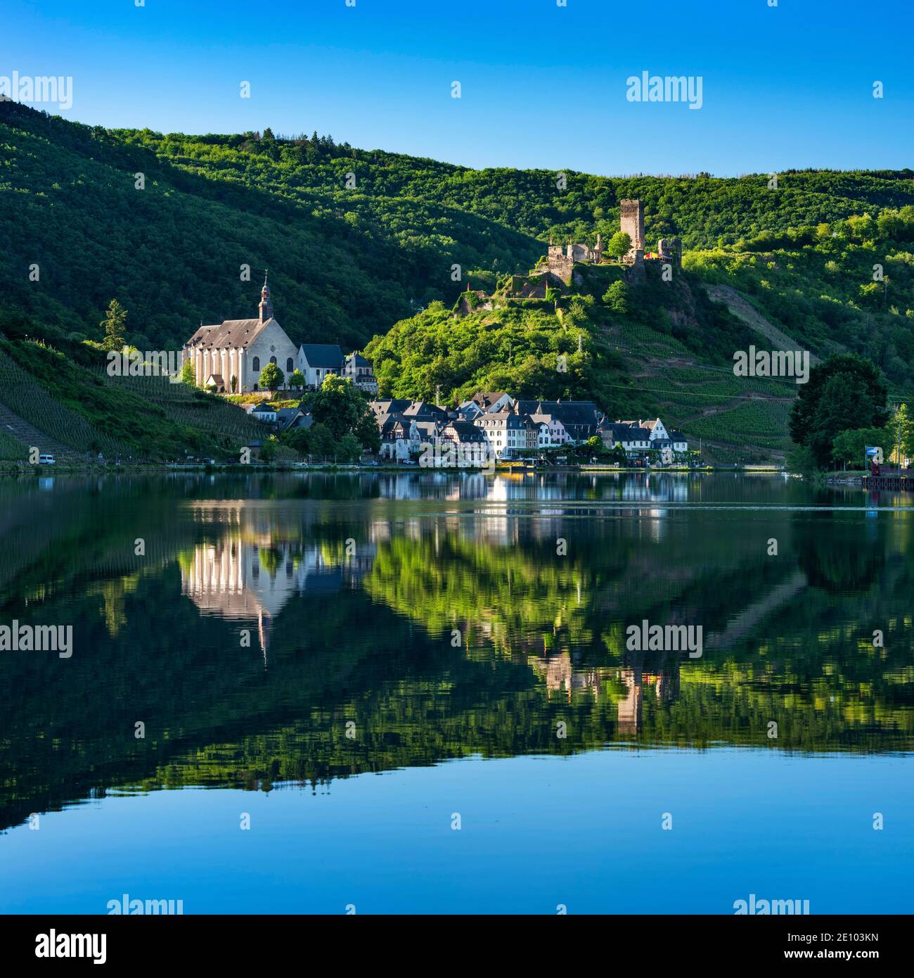 Winegrowing village Beilstein with Carmelite church and castle ruin ...