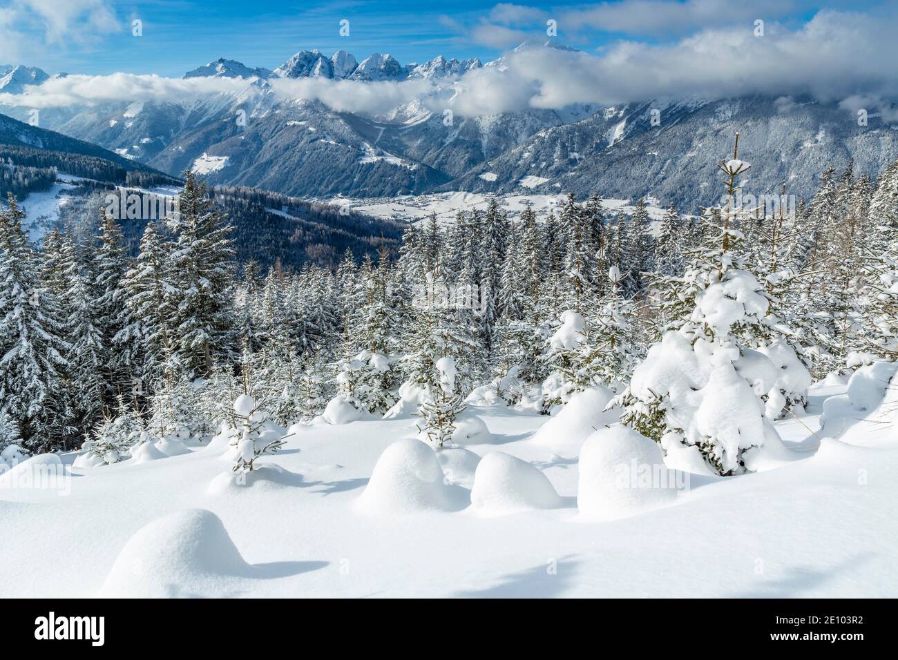 Winter landscape, forest, behind Stubai Valley and Kalkkögel, owl ...