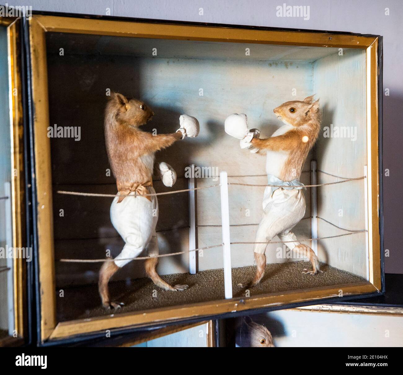 'The Pugilists' was bought by Henry, the 5th Lord Bangor in the 1860's ...