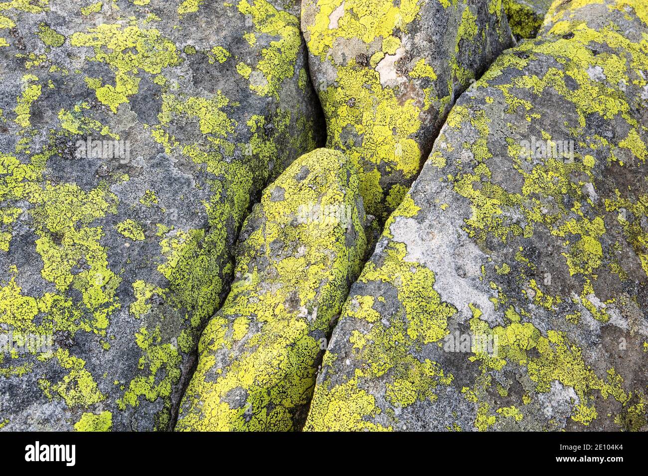 Lichen mountain hi-res stock photography and images - Alamy